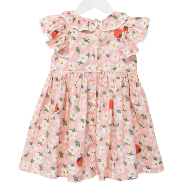 Smox Rox | Lulu Dress - Angelfish Dragonfly Baby and Children's Boutique